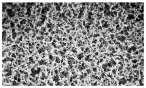 Polypropylene Membrane – Microscience