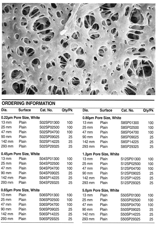 PES Membrane – Microscience